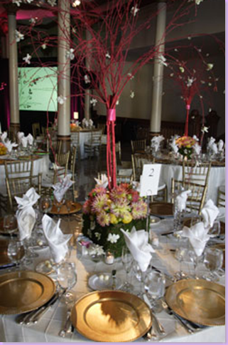 COTE DE TEXAS: Courtney Caplan - Rising Star!